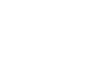 Ivory Group | We are Why